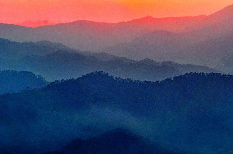 4 Ways To Explore The Binsar Wildlife Sanctuary - goStops | Blog