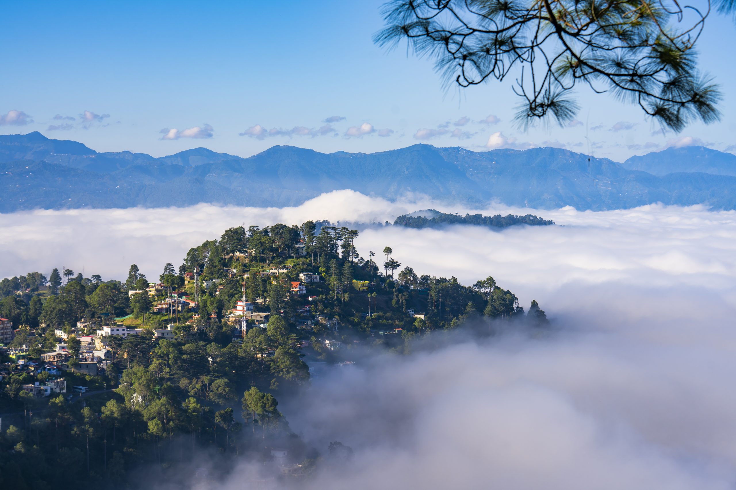 Why is Kasar Devi perfect for a peaceful getaway? - goStops | Blog