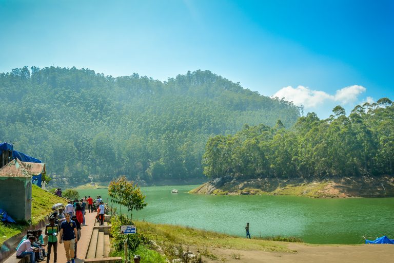 All You Need To Know About Munnar, Kerala - goStops | Blog