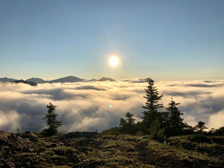 10 Best Things for an Ultimate Experience in Mussoorie - goStops | Blog